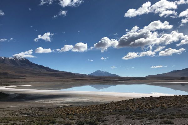 Trayecto Ramaditas Chituca: discover the changes in the ecosystem