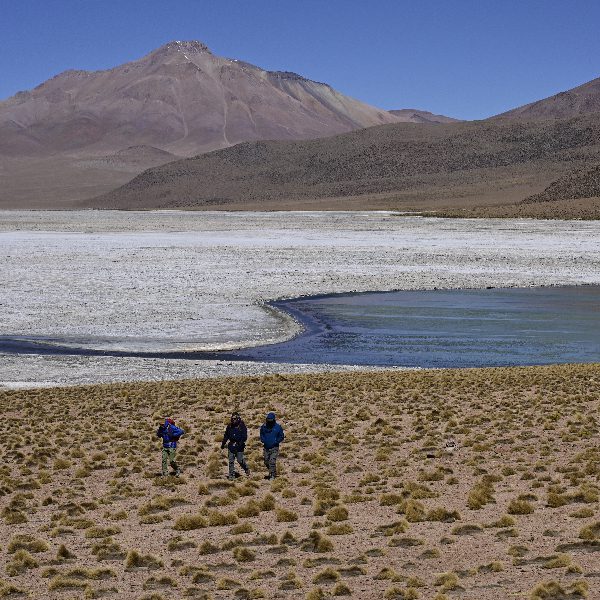 Explora Salar de Uyuni y el desierto de Atacama